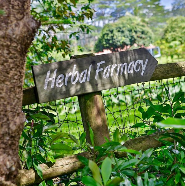 Follow the Signs... - Kauai Farmacy