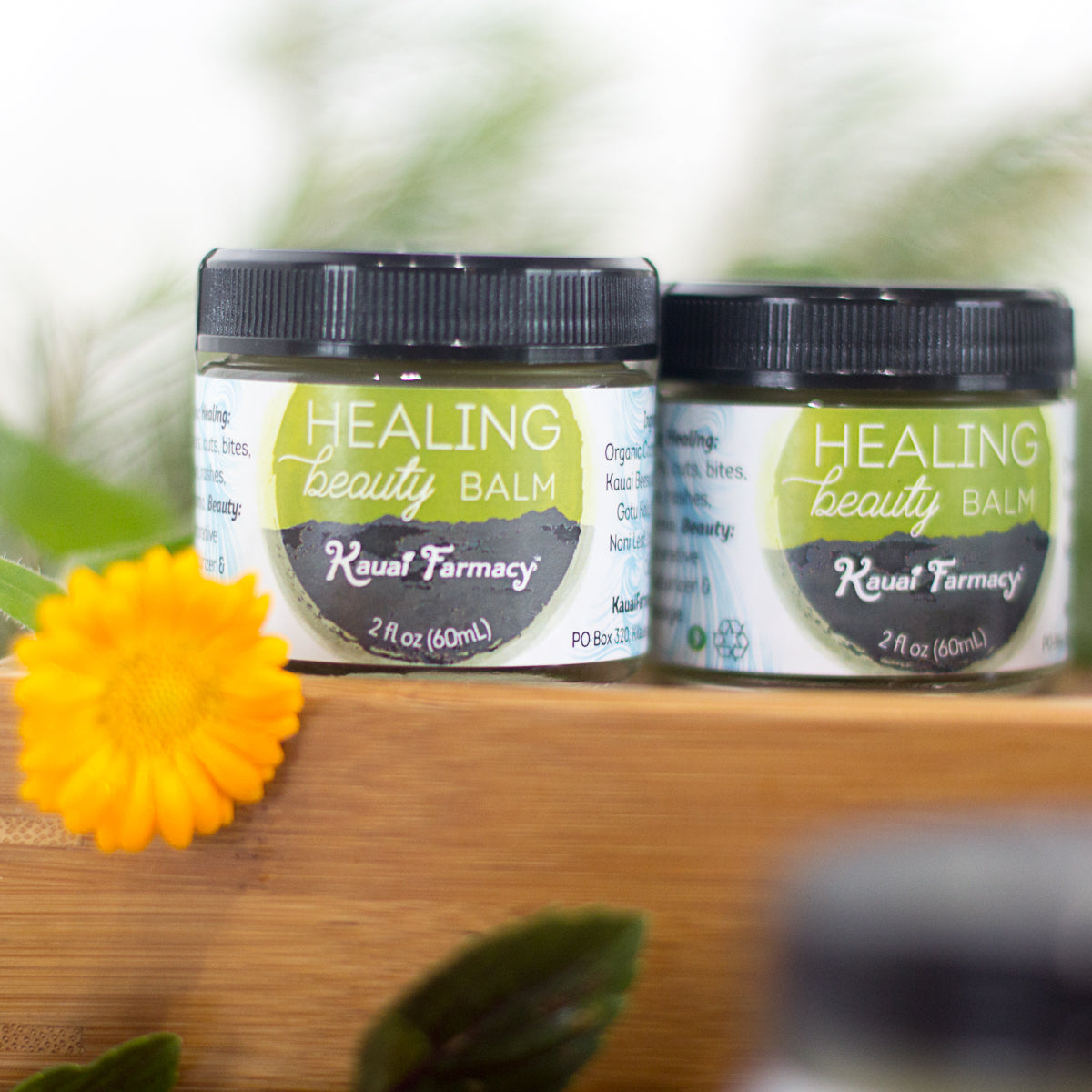 Healing Beauty Balm - healing facial cream calendula, noni tulsi herbal ...