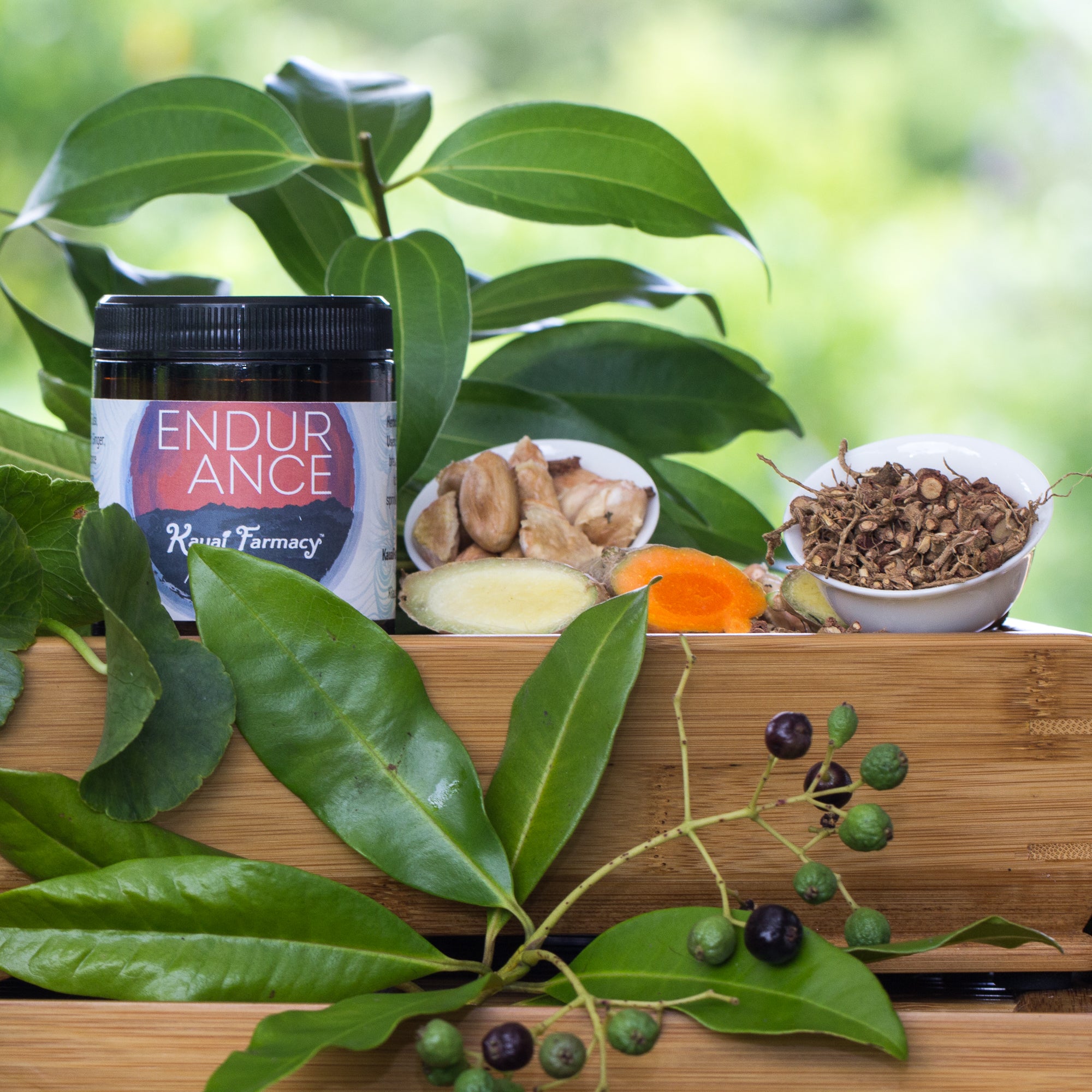 Endurance Powder with Tulsi | Kauai Farmacy