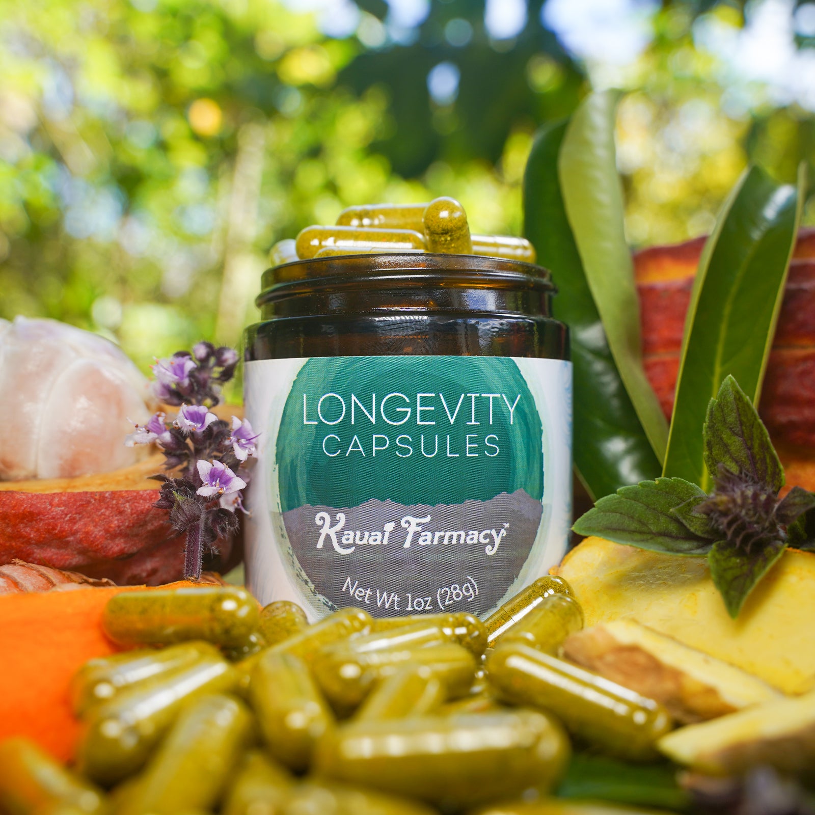 Longevity Capsules - Kauai Farmacy