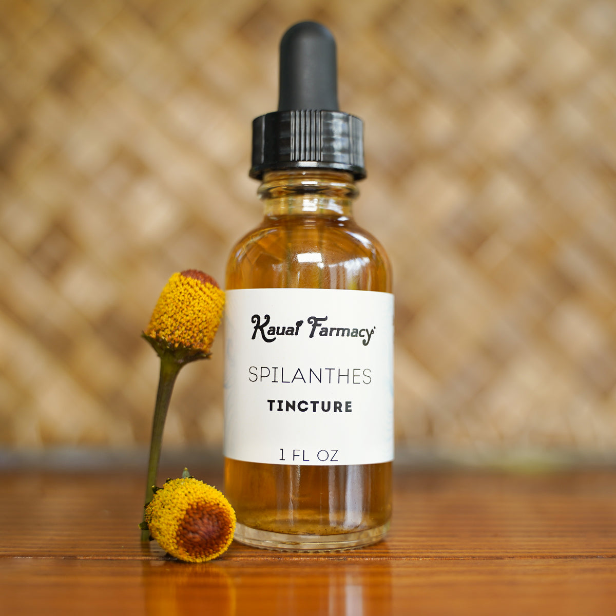 Spilanthes Tincture - Organic alcohol extract - Kauai Farmacy