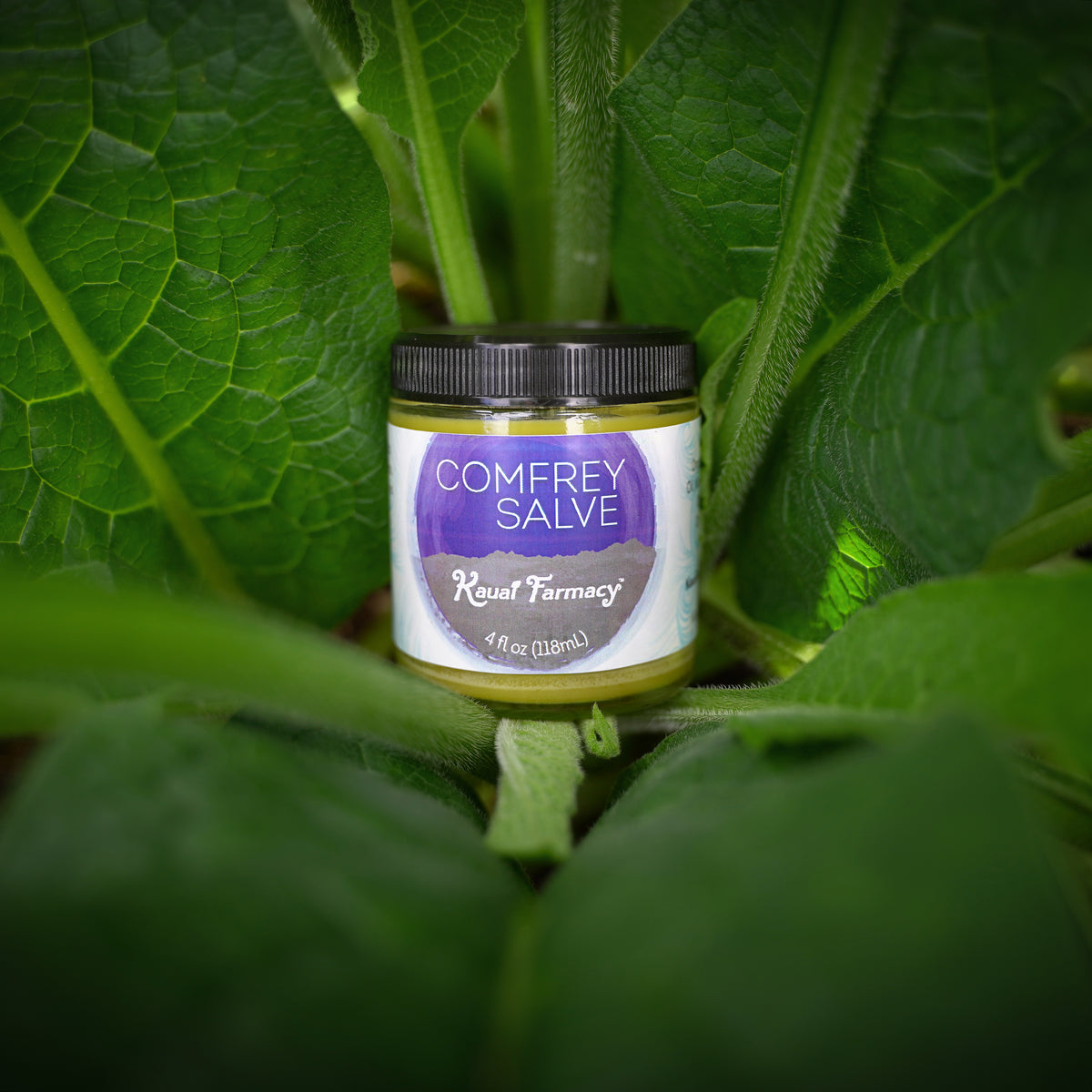 Comfrey Salve - Knitbone coconut oil salve bones, injuries, bruises ...