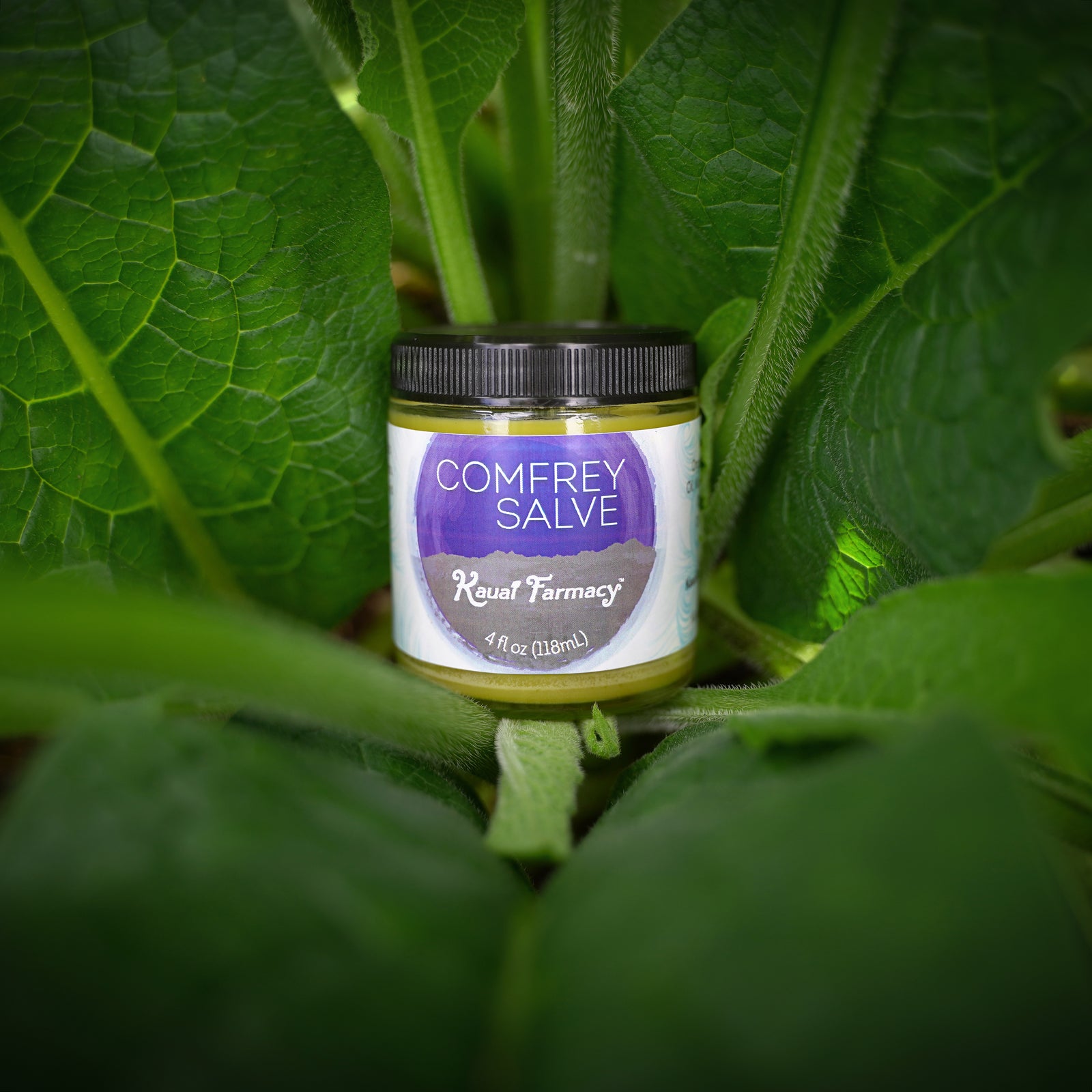 Comfrey Salve - Knitbone coconut oil salve bones, injuries, bruises ...