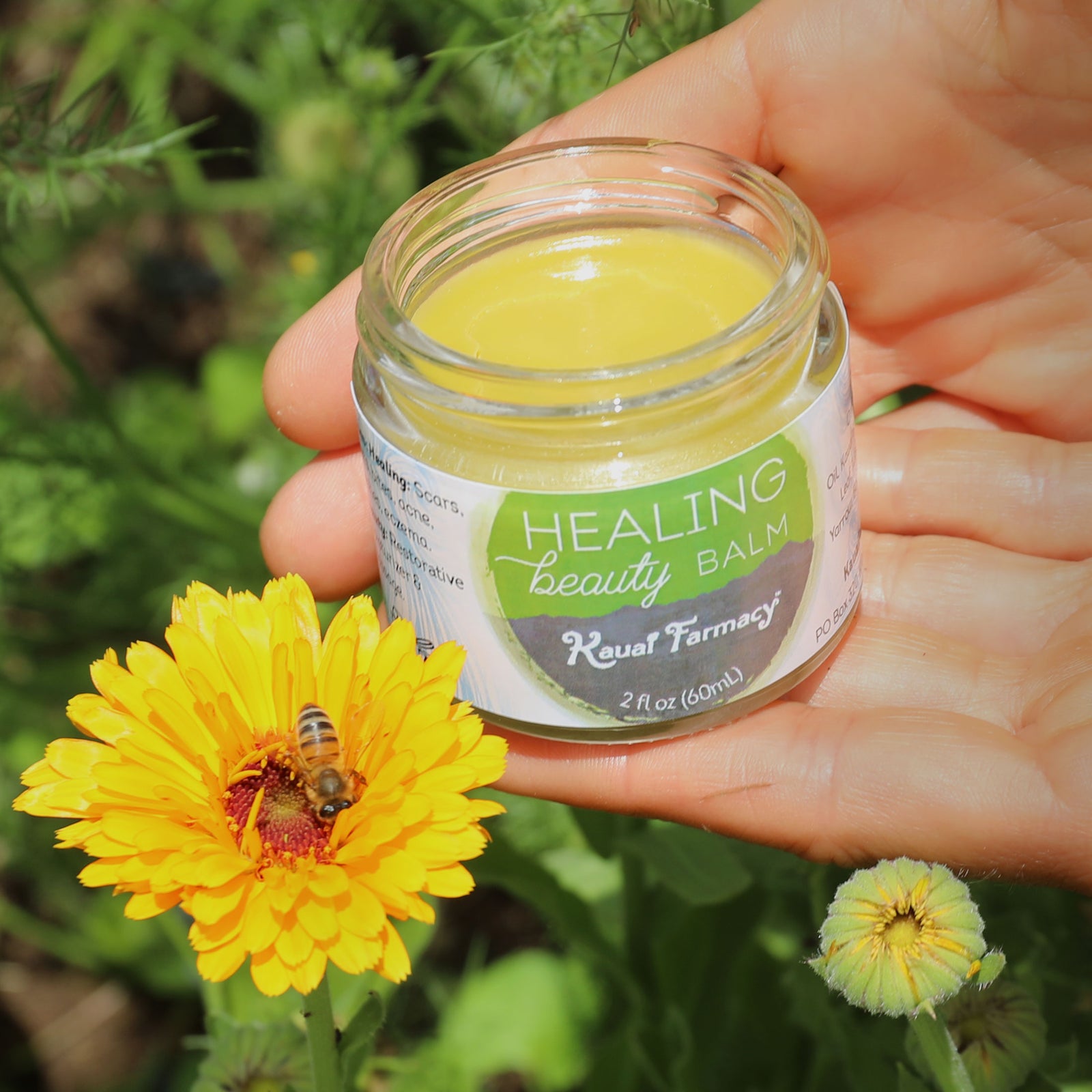 Healing Beauty Balm - healing facial cream calendula, noni tulsi herbal ...