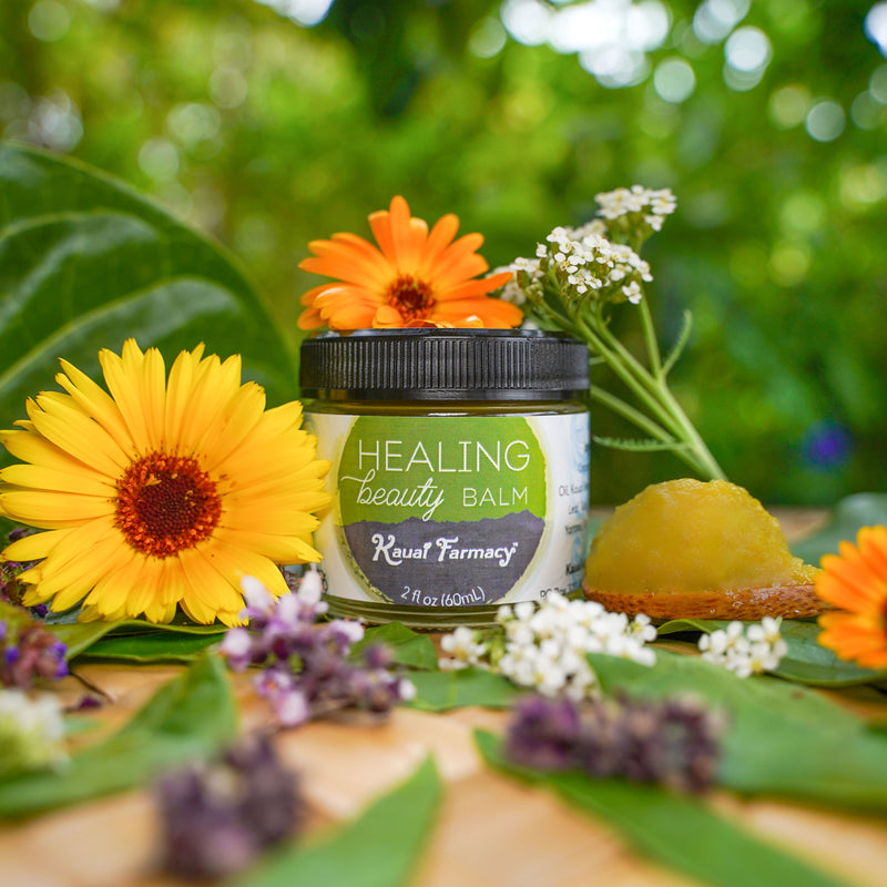 Healing Beauty Balm - healing facial cream calendula, noni tulsi herbal ...