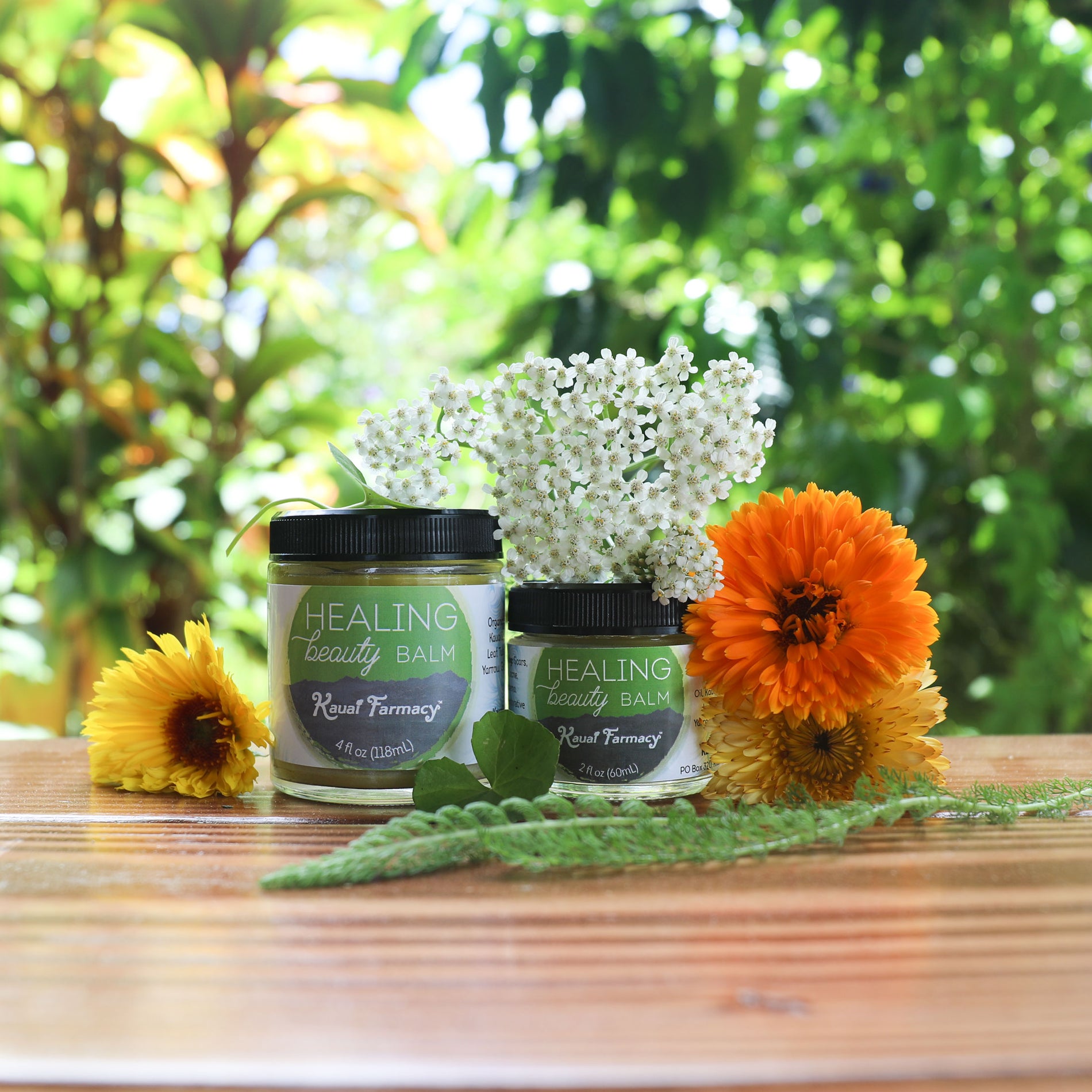 Salves & Balms - Kauai Farmacy